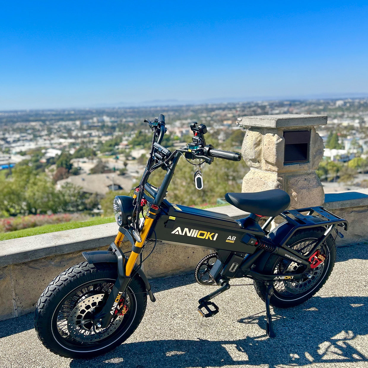 2025 Upgraded A8 Pro Max Dual Motor - Dual Disc Brakes – Aniioki EU